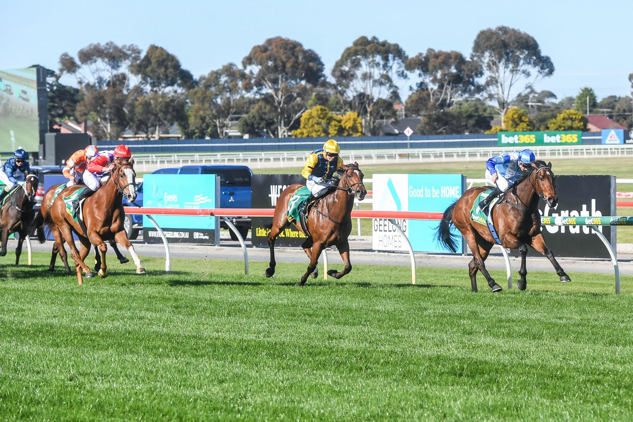 It’s showtime for MAGICAL LAND after securing draw five in the “Final ...